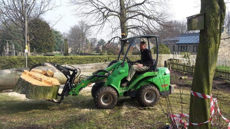 Acer Trees and Logs – The Tree Specialist – West Yorkshire
